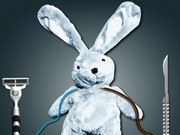 Save The Bunny Game - Play Save The Bunny Online for Free at YaksGames