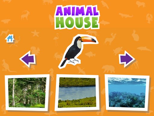 Animal House game Game - Play Animal House game Online for Free at ...