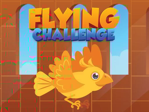 Flying Challenge Game - Play Flying Challenge Online for Free at YaksGames