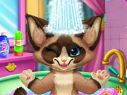 Kitten Bath Game - Play Kitten Bath Online for Free at YaksGames