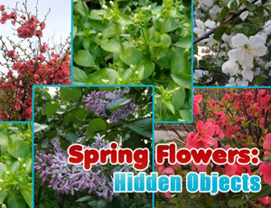 Spring Flowers: Hidden Objects Game - Play Spring Flowers: Hidden ...