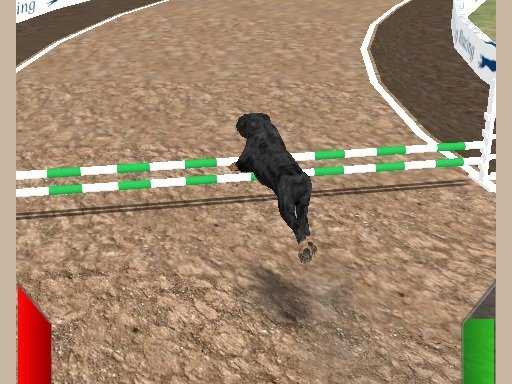 Crazy Real Dog Race Game - Play Crazy Real Dog Race Online for Free at ...
