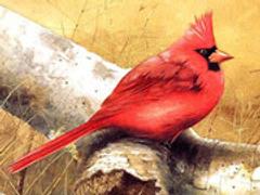 Mystical Birdlink Game - Play Mystical Birdlink Online for Free at ...