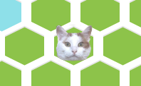 Trap the Cat Game - Play Trap the Cat Online for Free at YaksGames