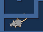 Lab Rat Game - Play Lab Rat Online for Free at YaksGames