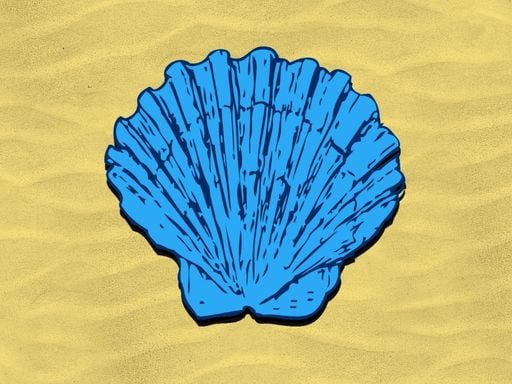 Shell Collector Game - Play Shell Collector Online for Free at YaksGames