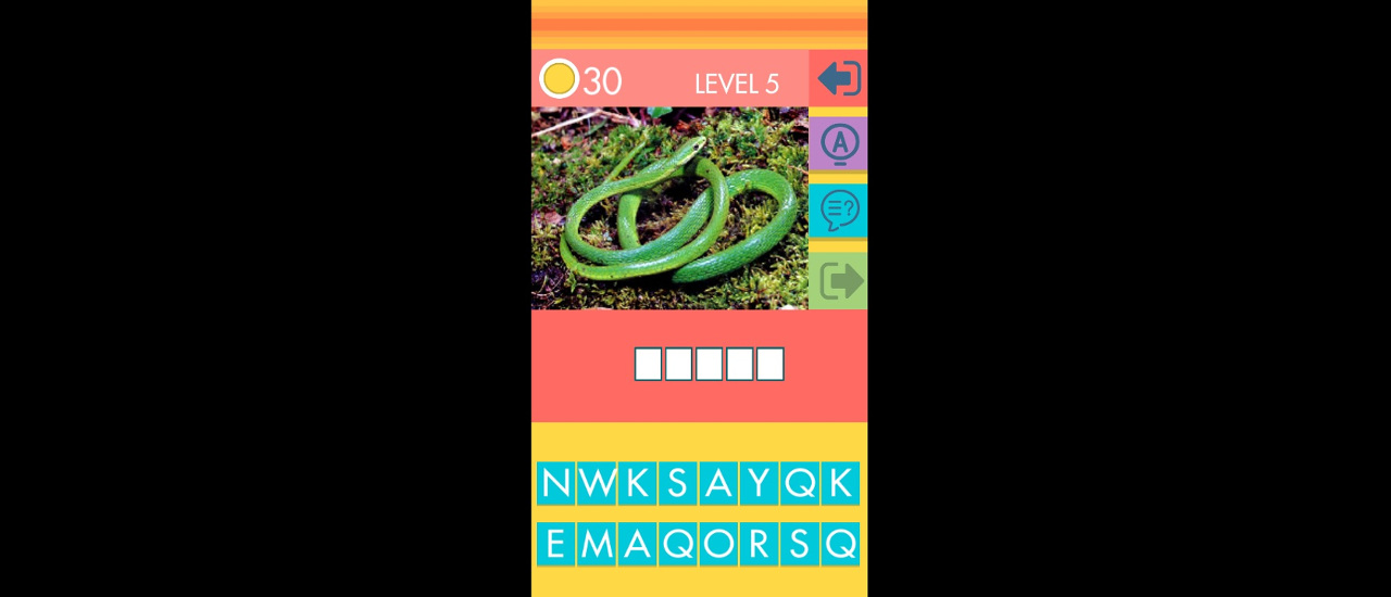 Guess the Picture Quiz Game - Play Guess the Picture Quiz Online for ...