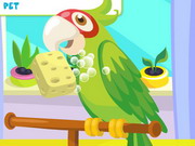 Parrot Care Game - Play Parrot Care Online for Free at YaksGames