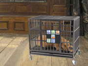 Duke Dogstorm Escape Game - Play Duke Dogstorm Escape Online for Free ...